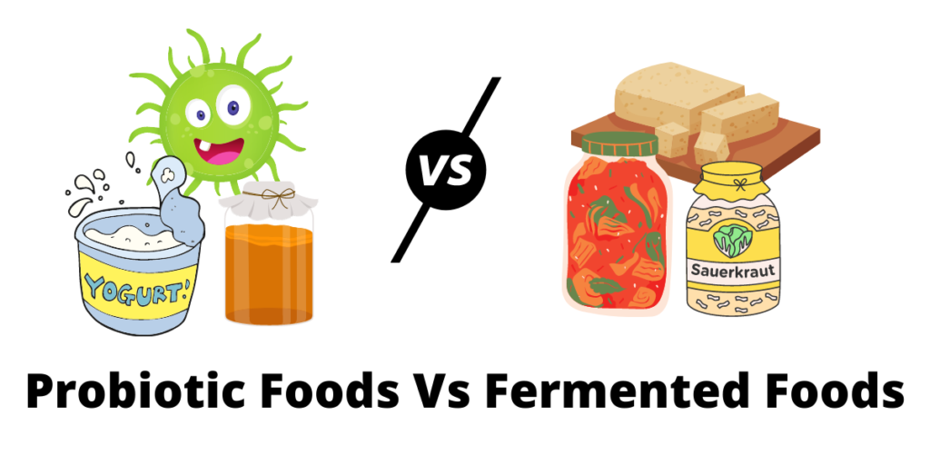 Probiotic Vs Fermented Foods - Any Difference? - Andy The RD