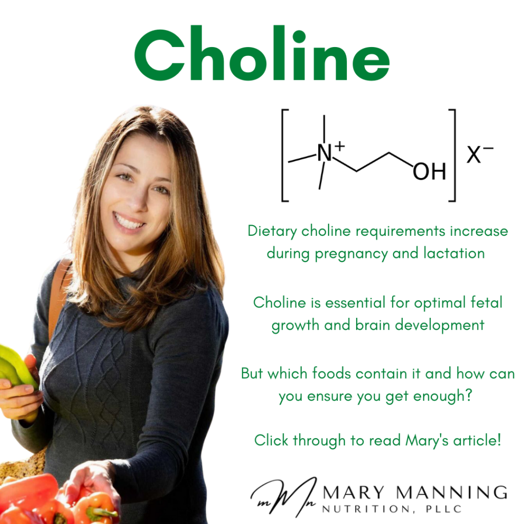 Maternal Nutrition Tips [Choline + Breast Feeding] - Andy The RD